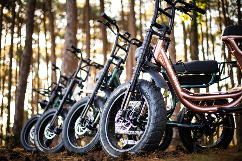 Pulse E-Bike for Power, Comfort & Adventure with Sun Chaser – Sun Chaser Ebikes