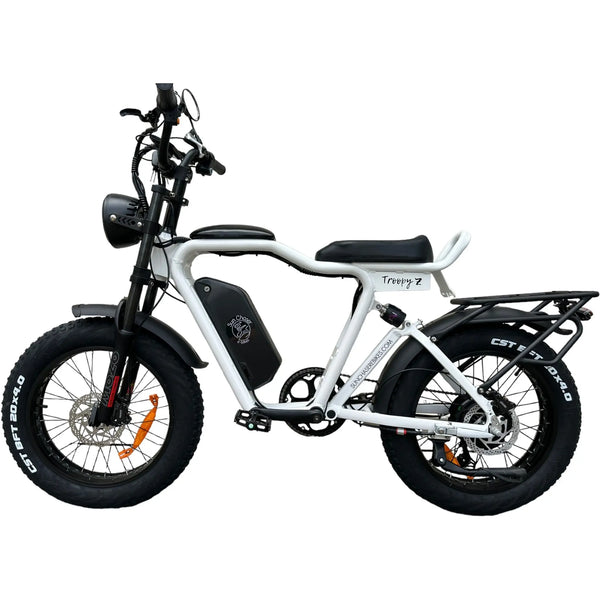 Best value fat tire ebikes – Sun Chaser Ebikes