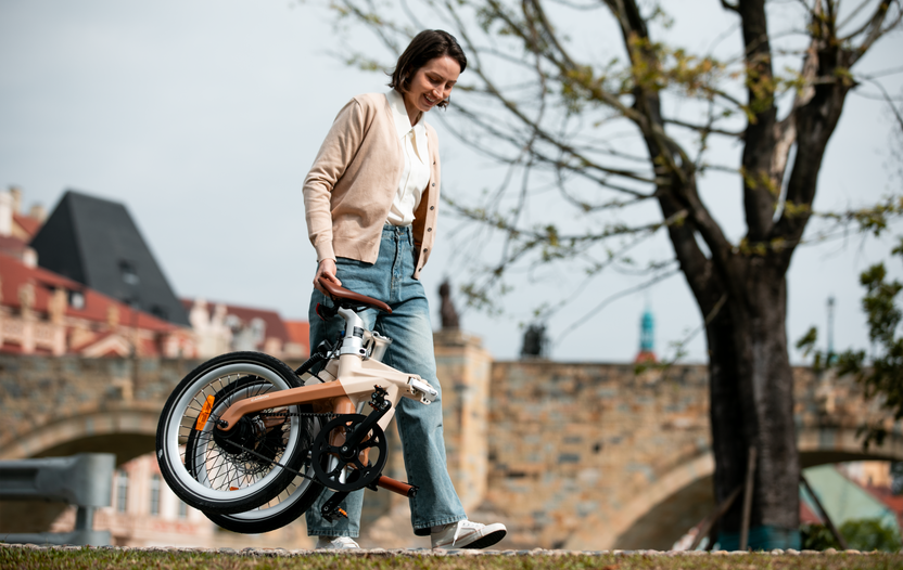 Best value fat tire ebikes – Sun Chaser Ebikes